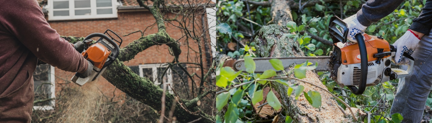 Darryl Hamilton Tree Service Offers Tree Removal in Daytona Beach, FL 32117